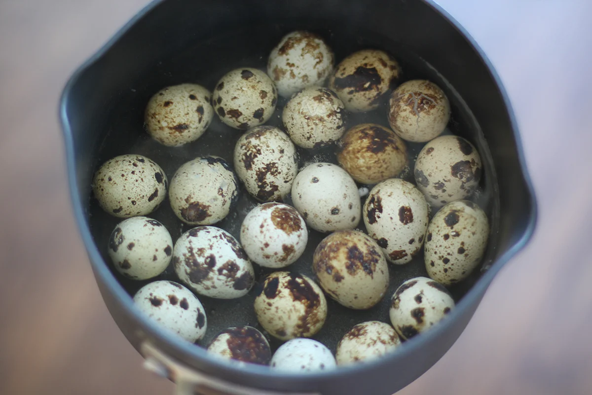 scotch quail eggst-square in the kitchen