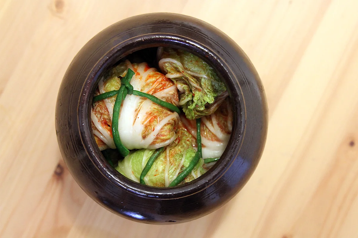 wrapped kimchit-square in the kitchen