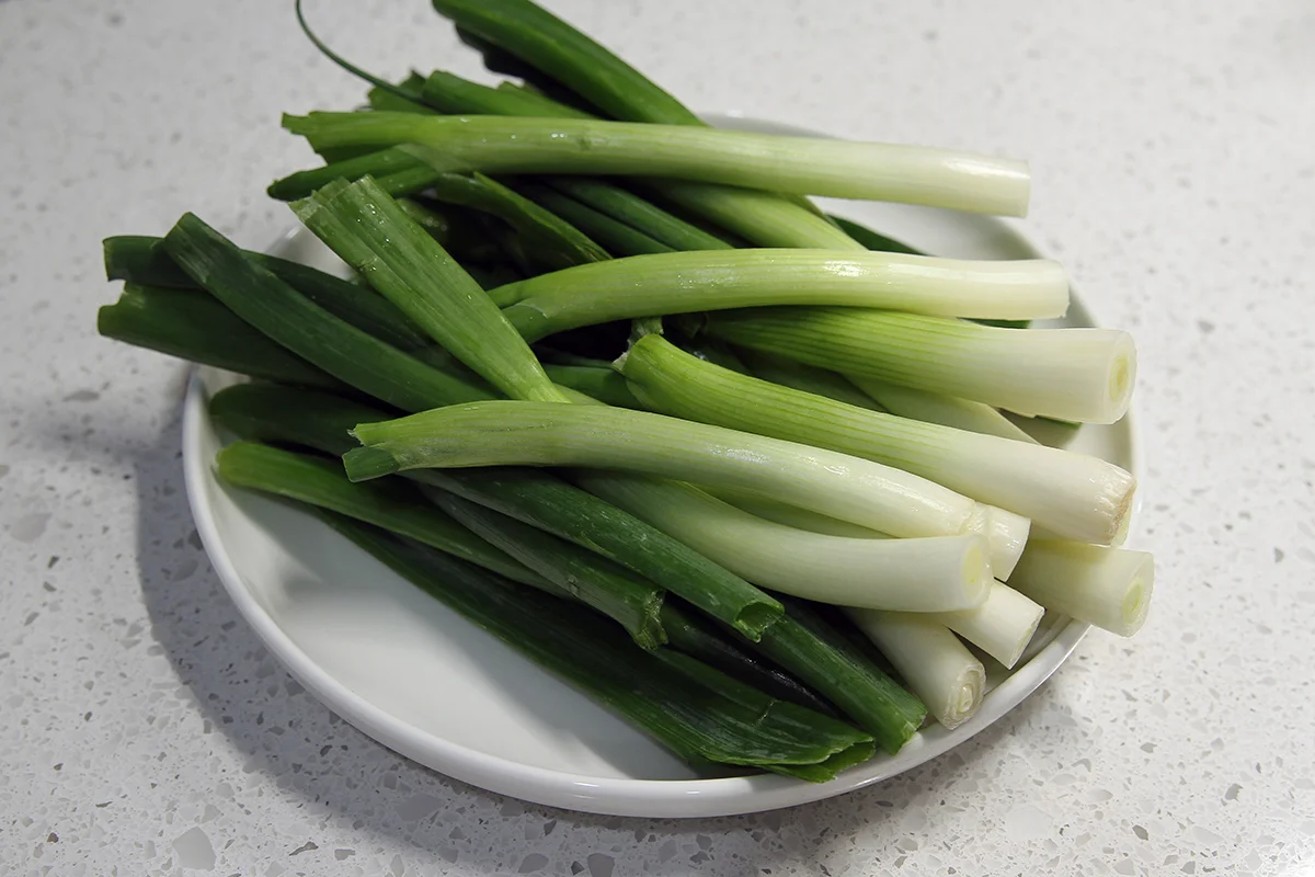 korean scallion pancaket-square in the kitchen
