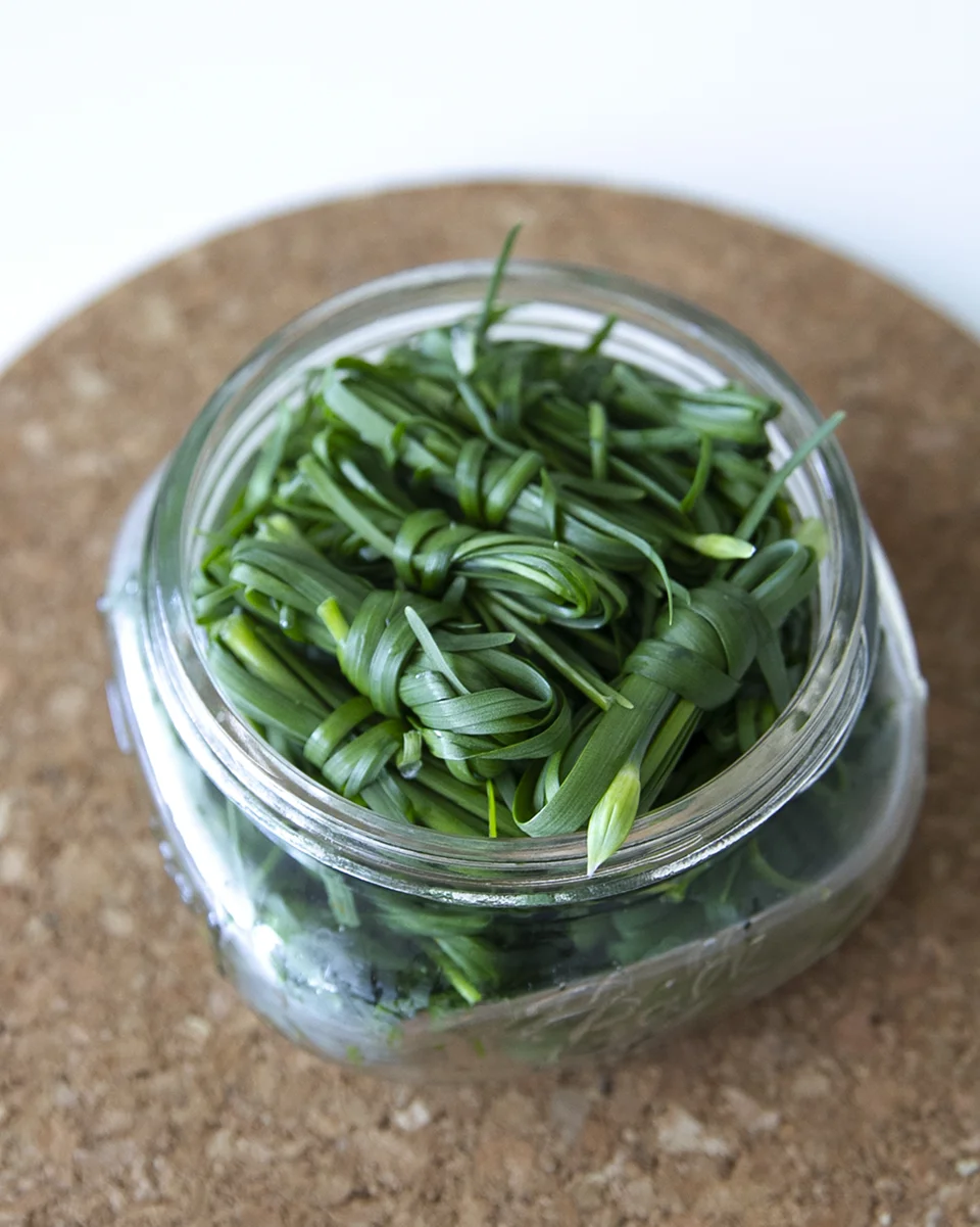 vinegar — galleryt-square in the kitchen