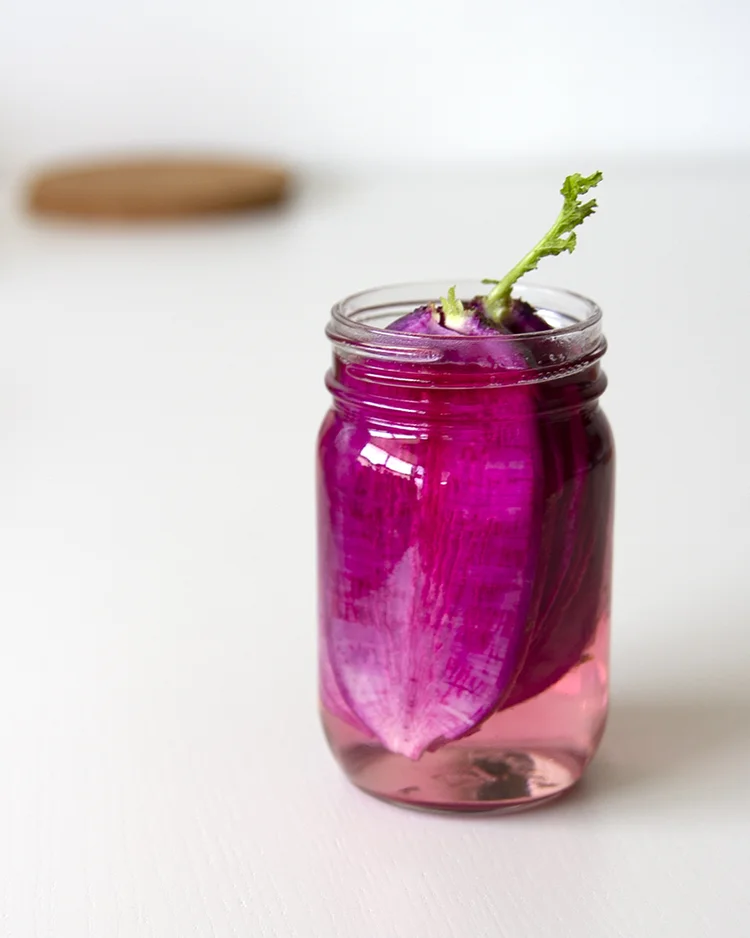 purple radish picklet-square in the kitchen