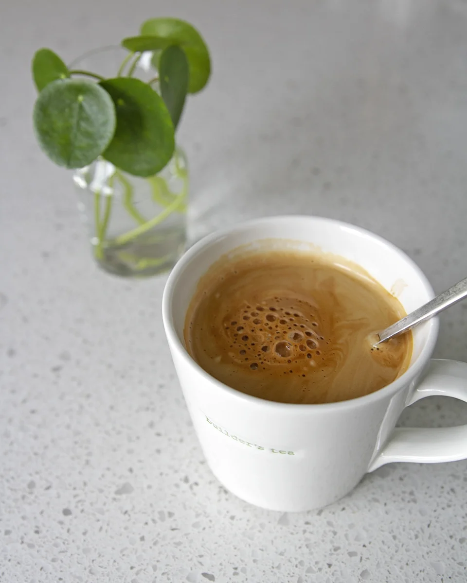 zero sugar lattet-square in the kitchen