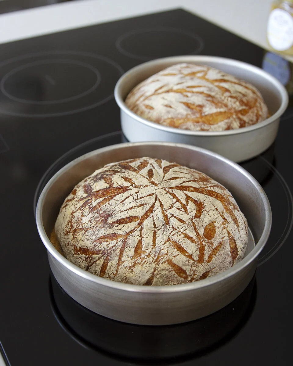 bread for sunnyt-square in the kitchen