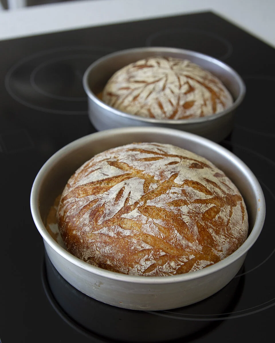 bread for sunnyt-square in the kitchen
