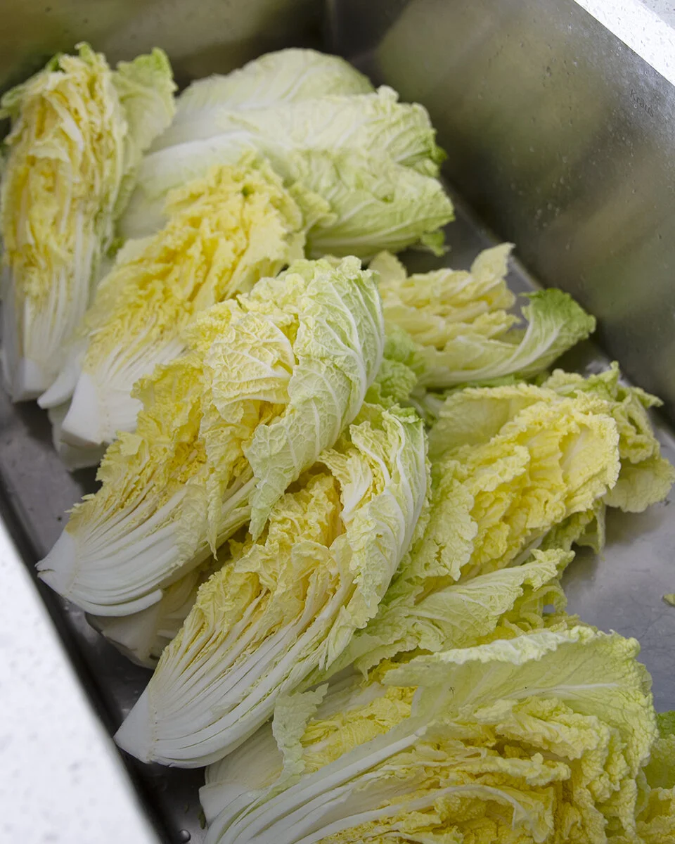 napa cabbage "pogi" kimchit-square in the kitchen