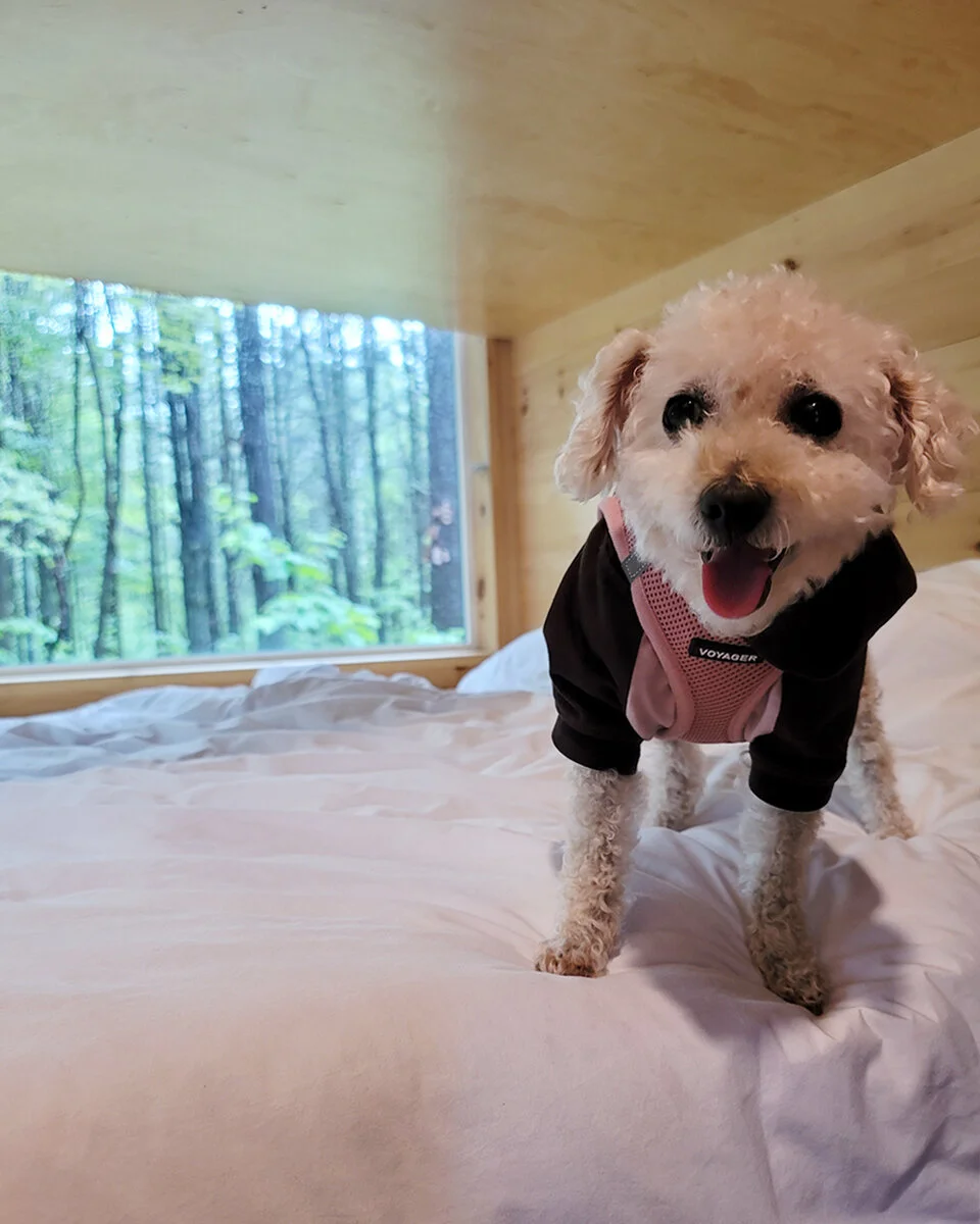 eastern catskills getaway house & kaaterskill fall, new york - july ...