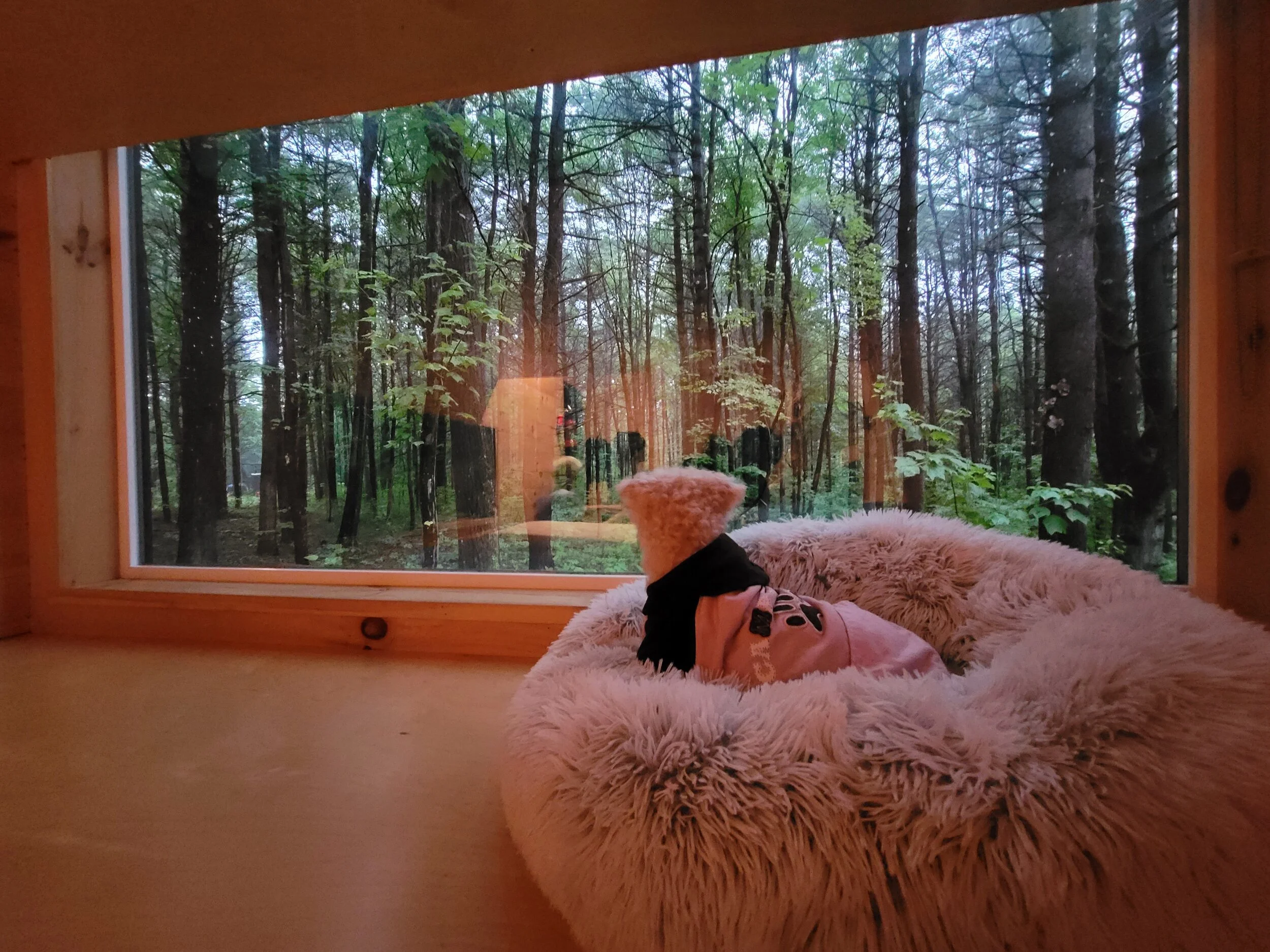 eastern catskills getaway house & kaaterskill fall, new york - july ...