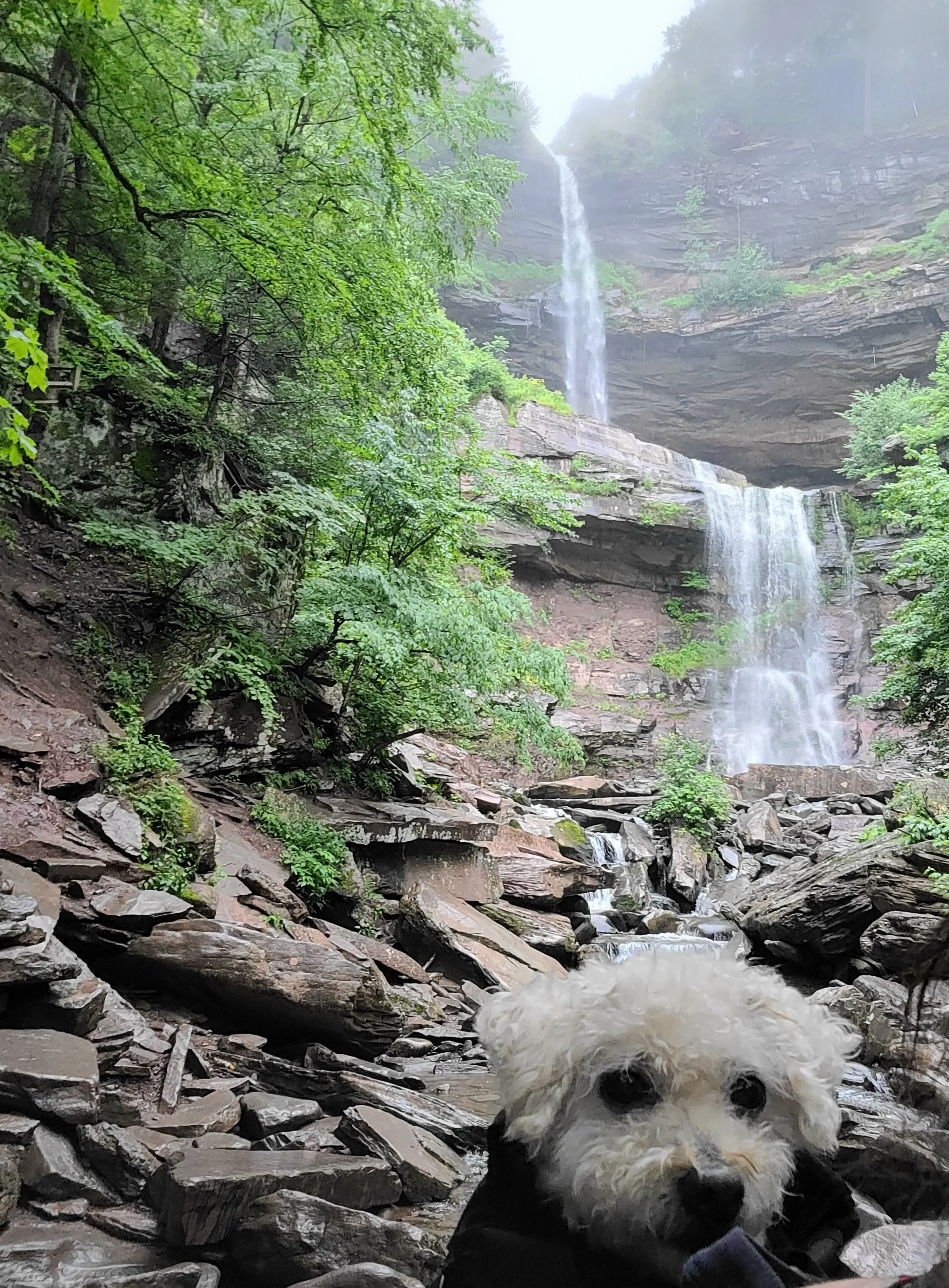 eastern catskills getaway house & kaaterskill fall, new york - july ...