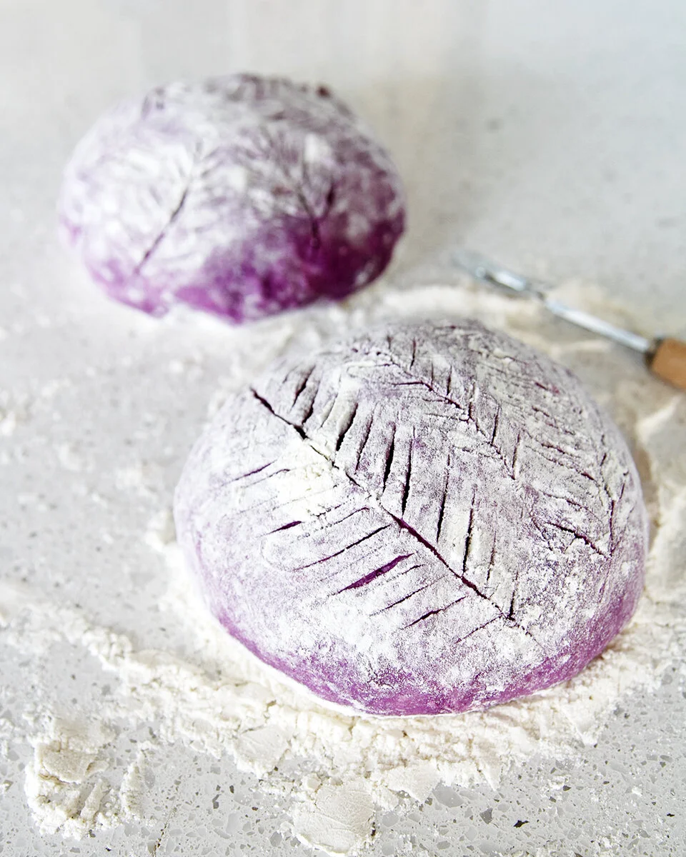 ube breadt-square in the kitchen