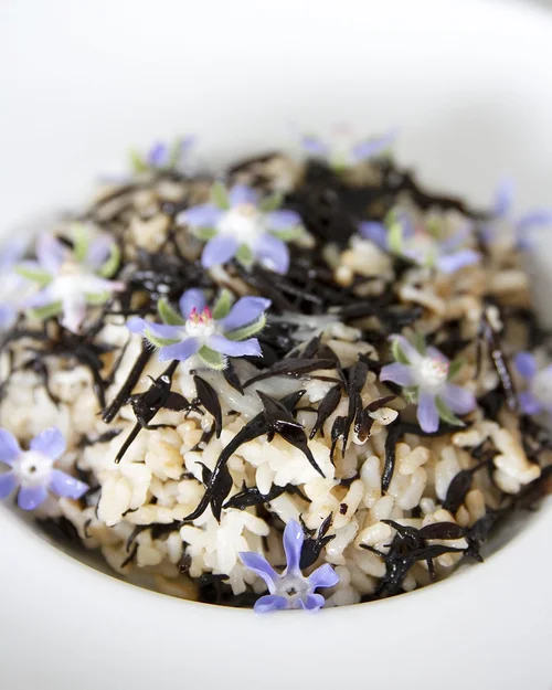 japanese hijiki ricet-square in the kitchen