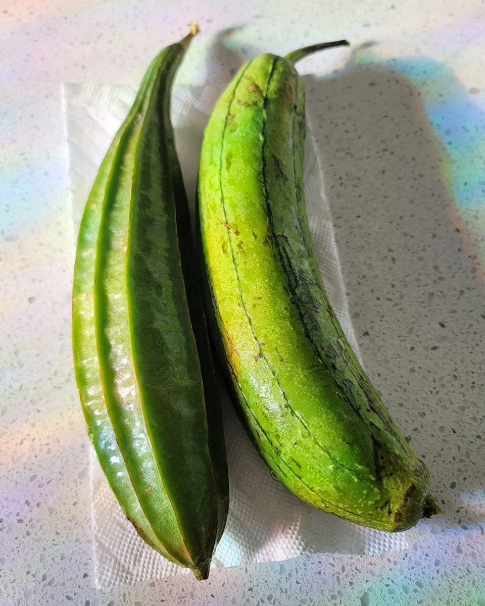 luffa & chinese okra w/ eggst-square in the kitchen