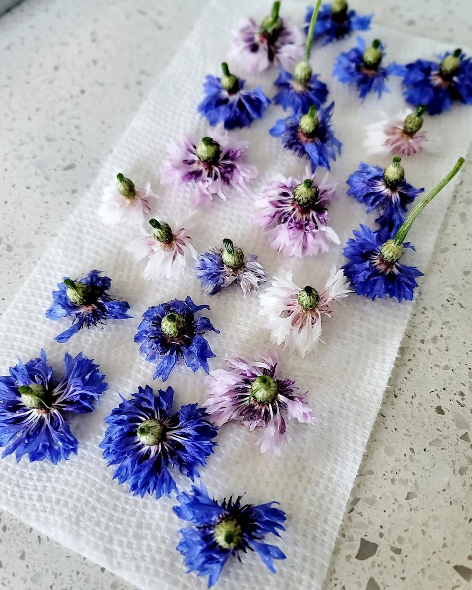 cornflower confetti t-square in the kitchen