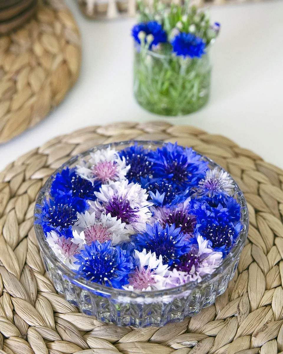 cornflower confetti t-square in the kitchen