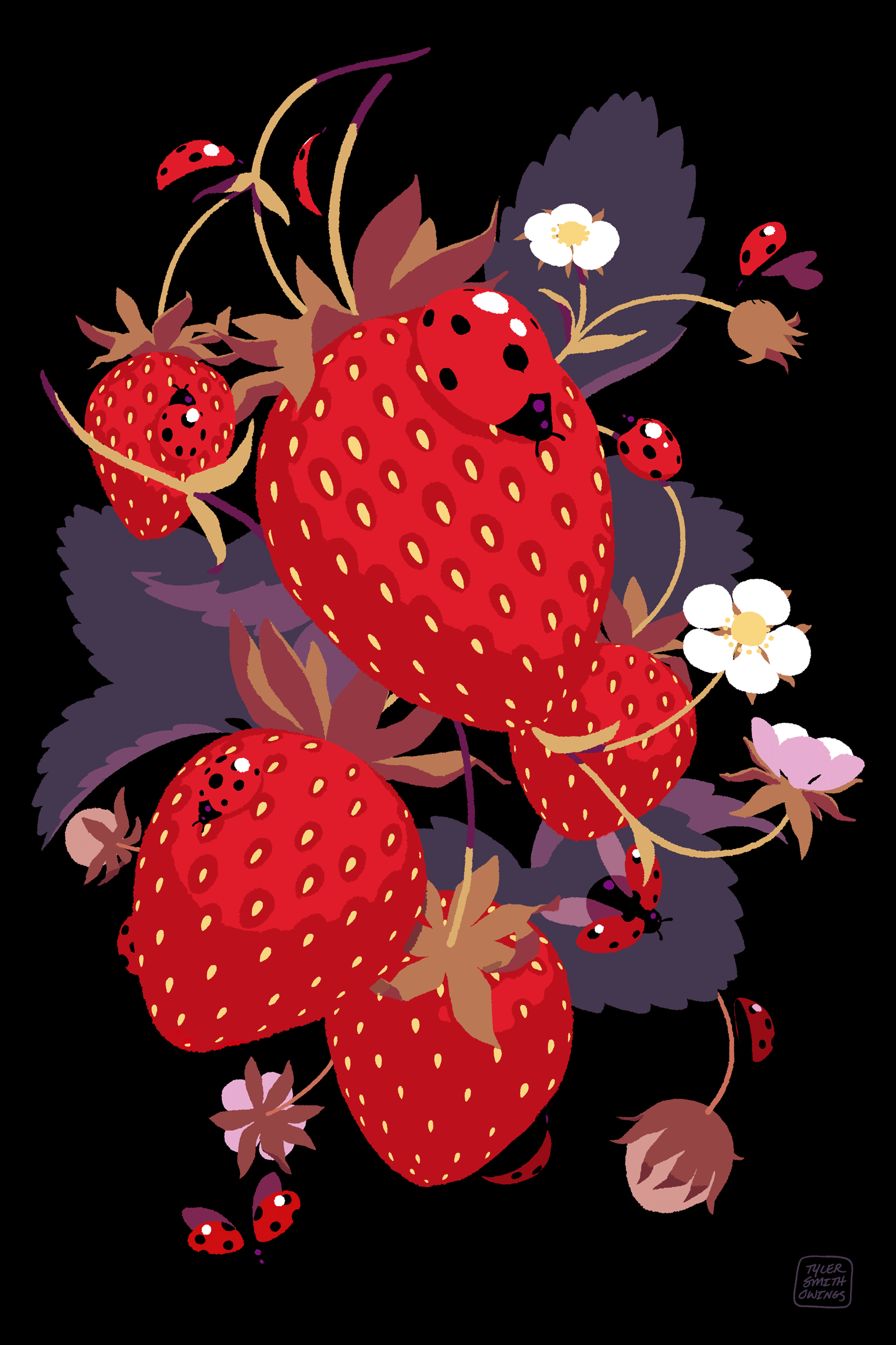 Anime Strawberry Wallpaper