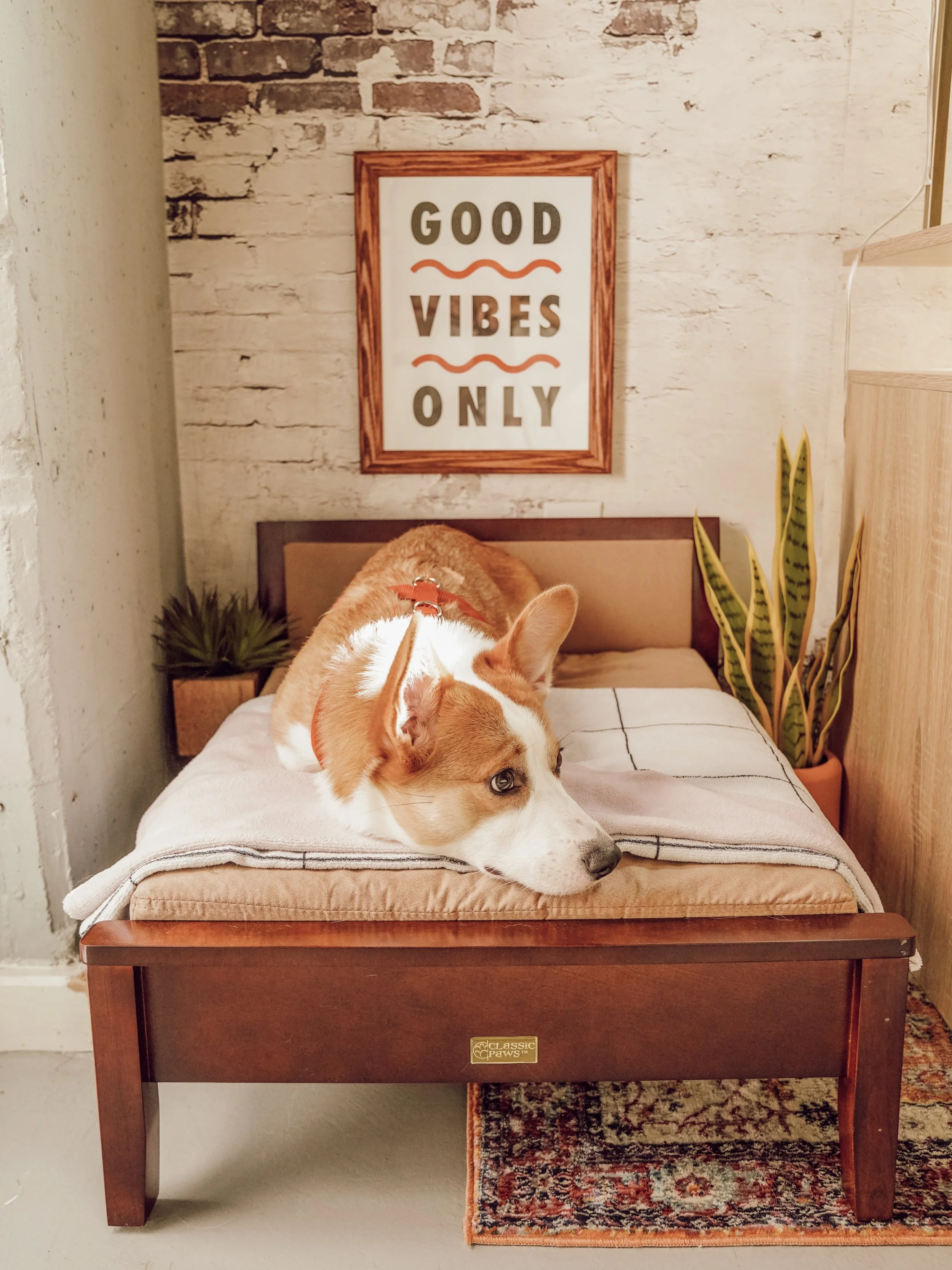 Girl and The Word - Creating a "Positivity Wall" with BT Design Co.