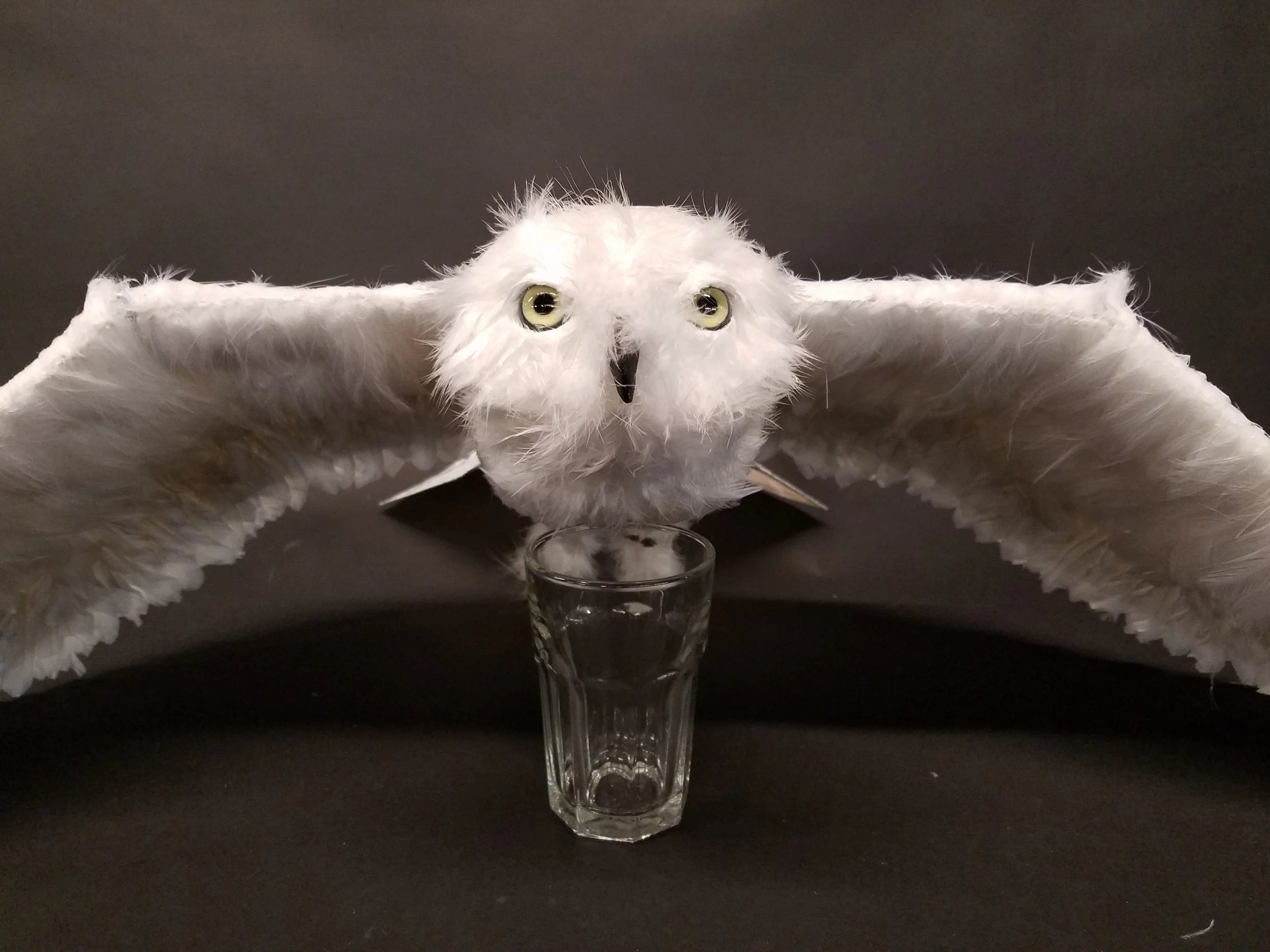 Hedwig Flying Harry Potter