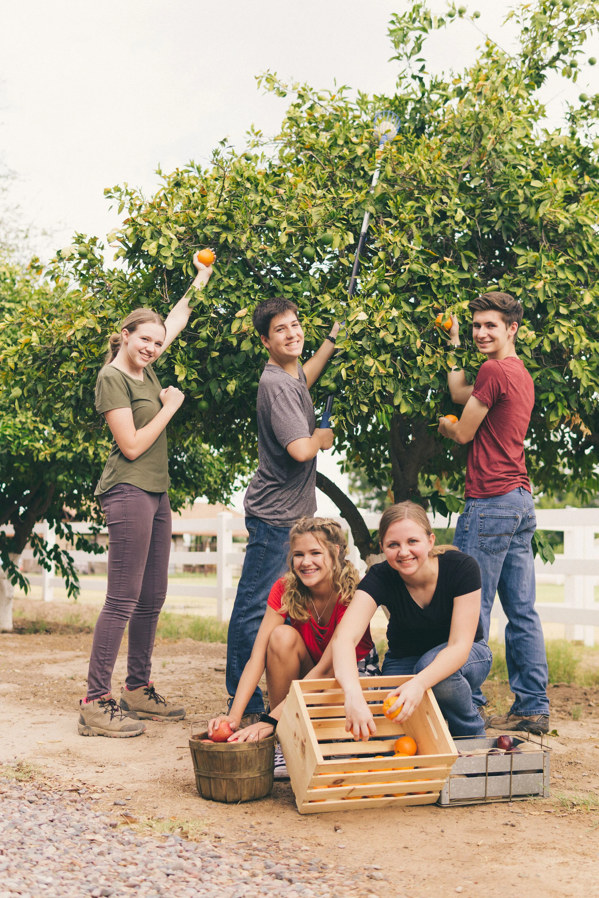 Middle School Adolescent Program — Creo School