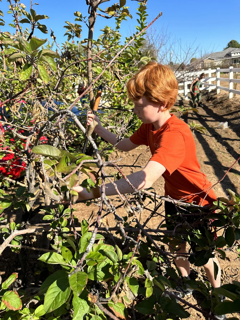 Creo Farm Creations — Creo School