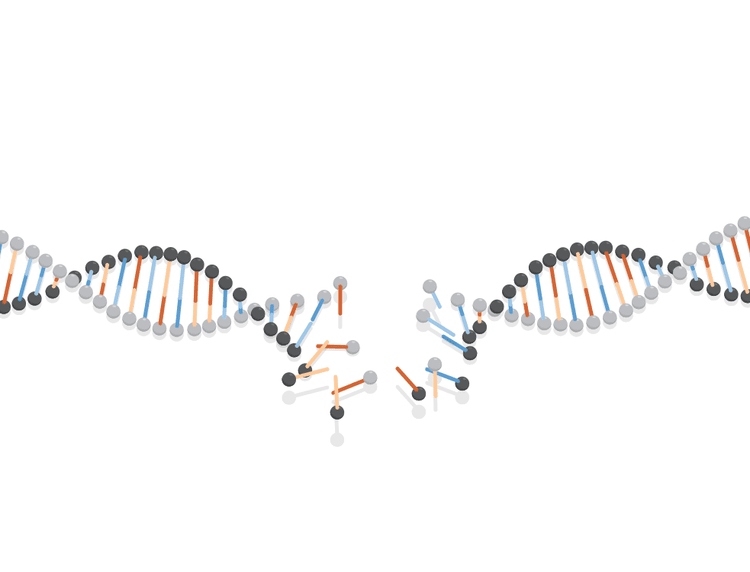 The Breakthrough in Breaking DNA — The PhDISH