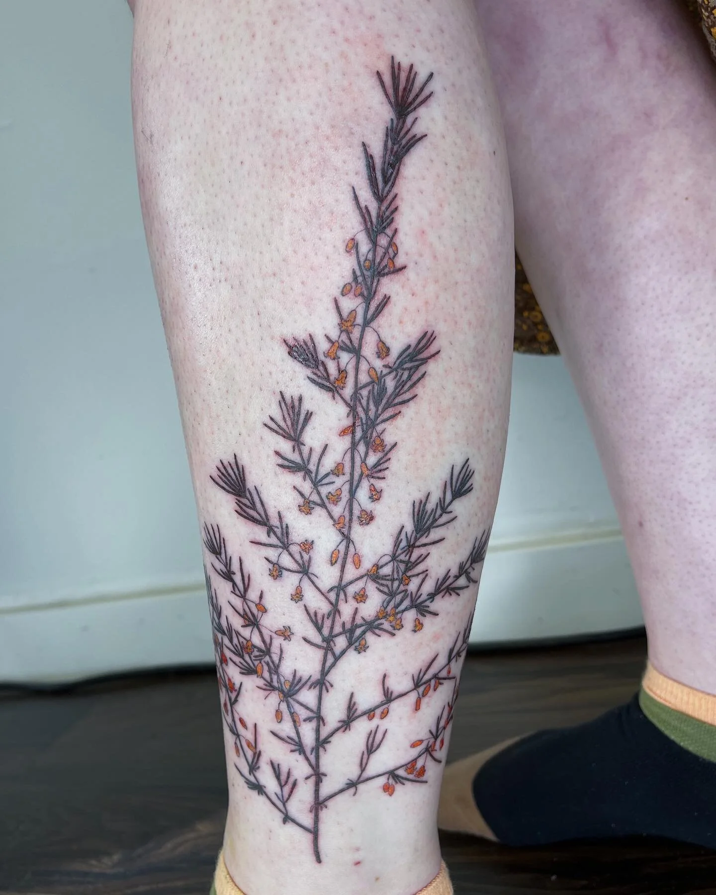 Juniper Branch Tattoo