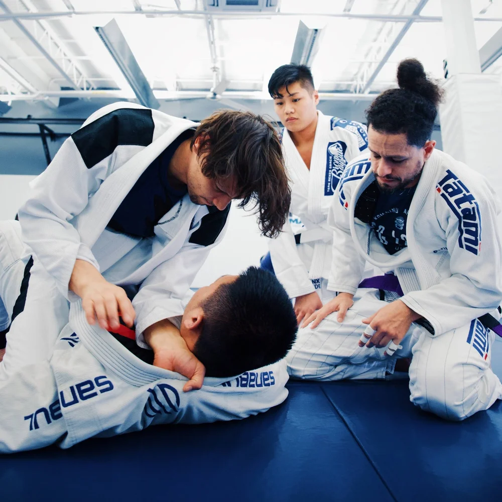 Renzo Gracie Bayside | Brazilian Jiu-Jitsu (BJJ) & Muay Thai | Queens, NYC