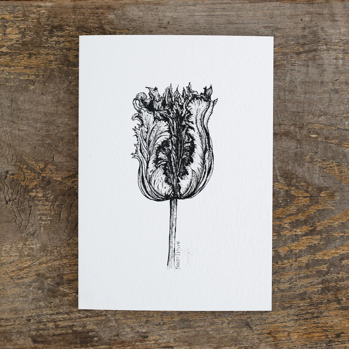 5 minutes with... floral designer & illustrator Sarah Horne - Design Hunter