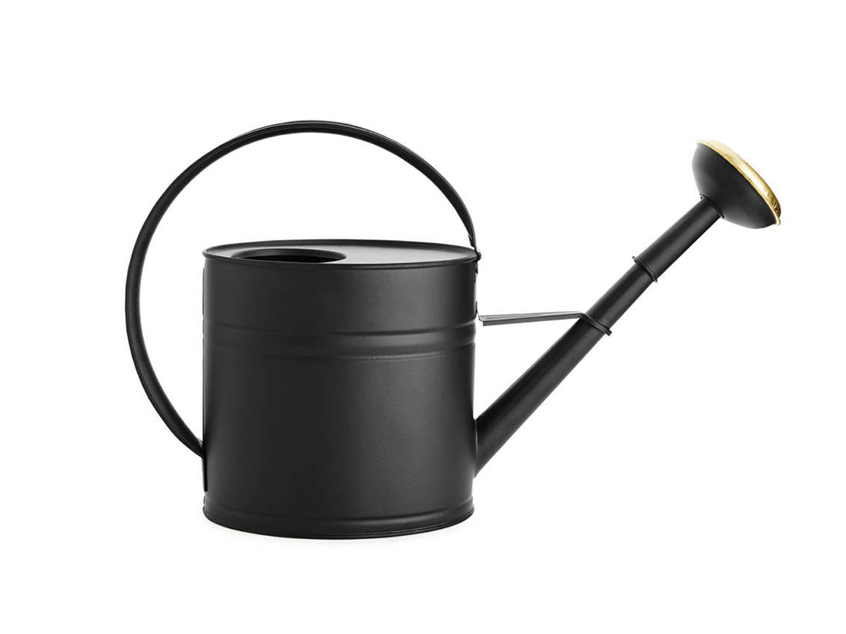 10 of the best watering cans for indoor plants - Design Hunter