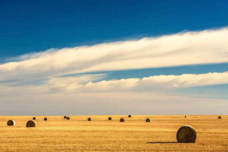 Great Plains Landscape Wallpaper