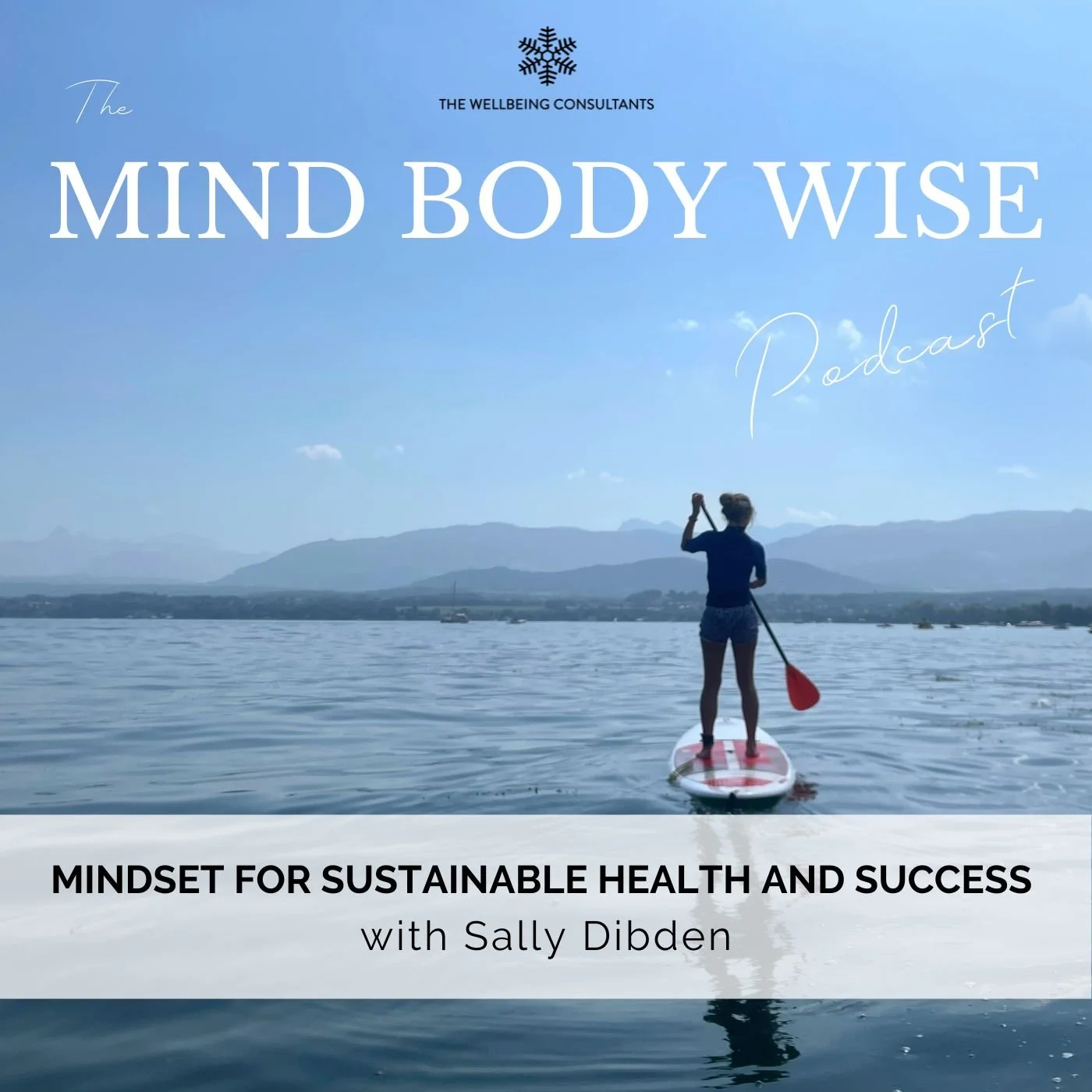 Mindset for sustainable health and success — The Wellbeing Consultants