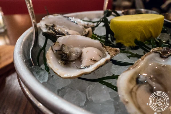 Blue Fin at The W Hotel in Times Square — I Just Want To Eat! |Food ...