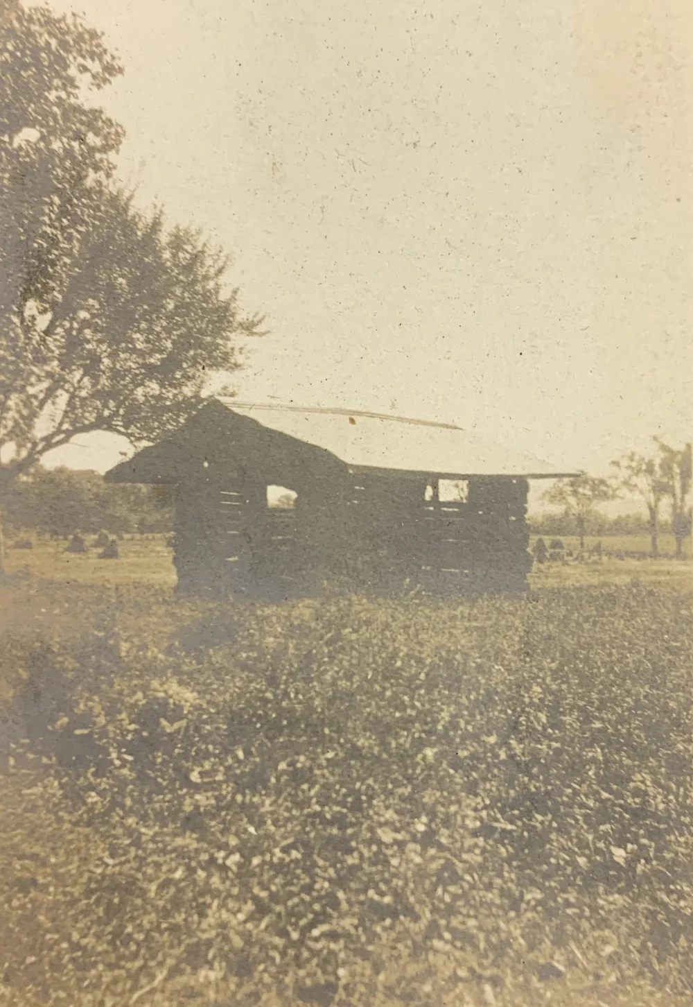 Phelps Farm: Affluence and Influence at Pine Grove, 1815-1893 — The ...