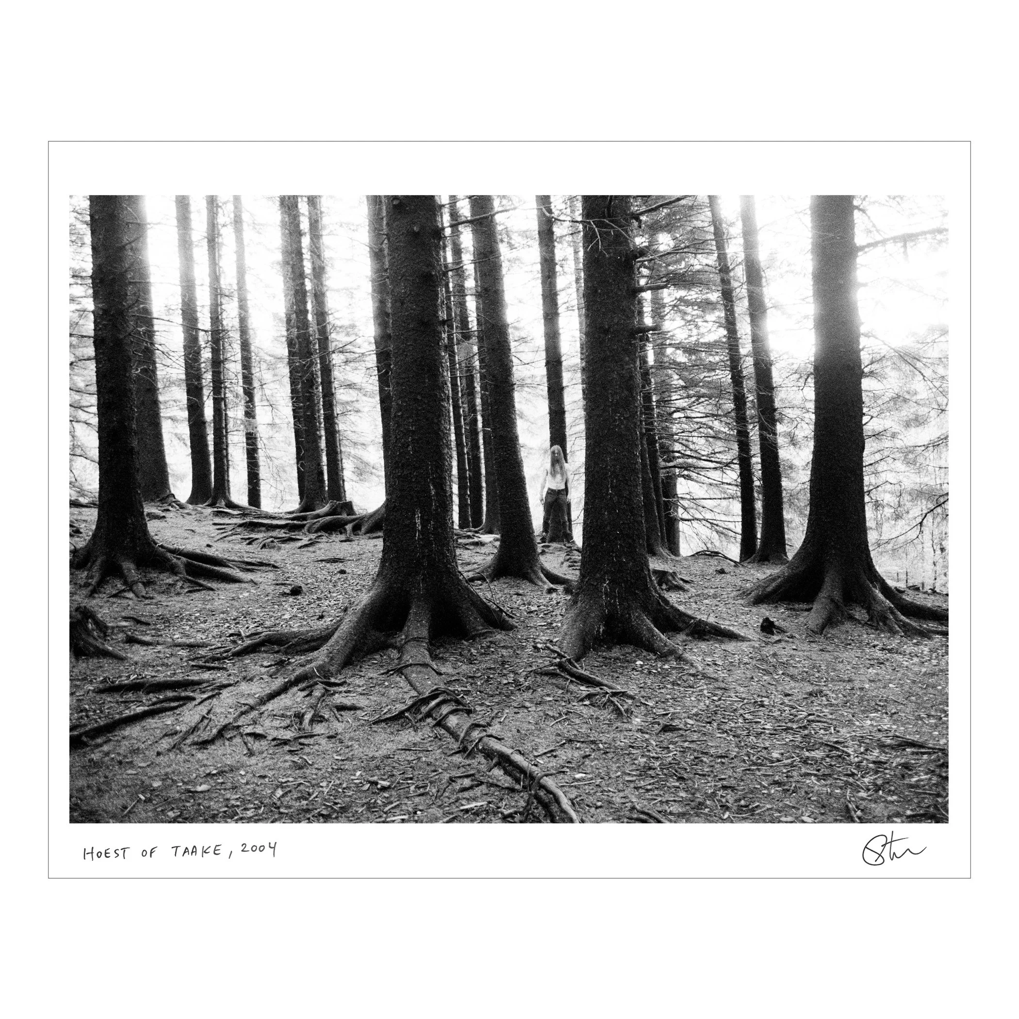 SHOP — Peter Beste