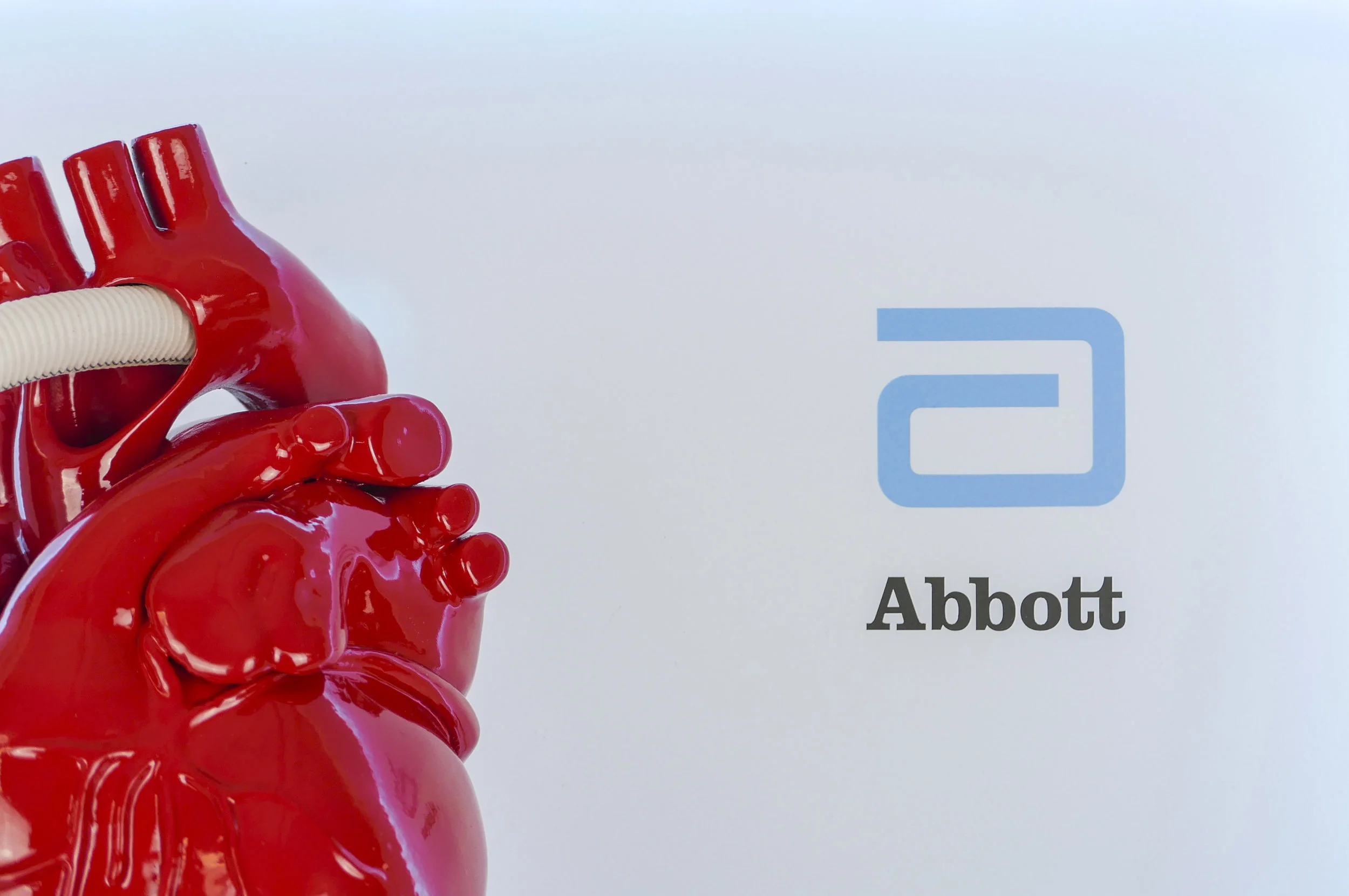 Work — Jaywalk Studio