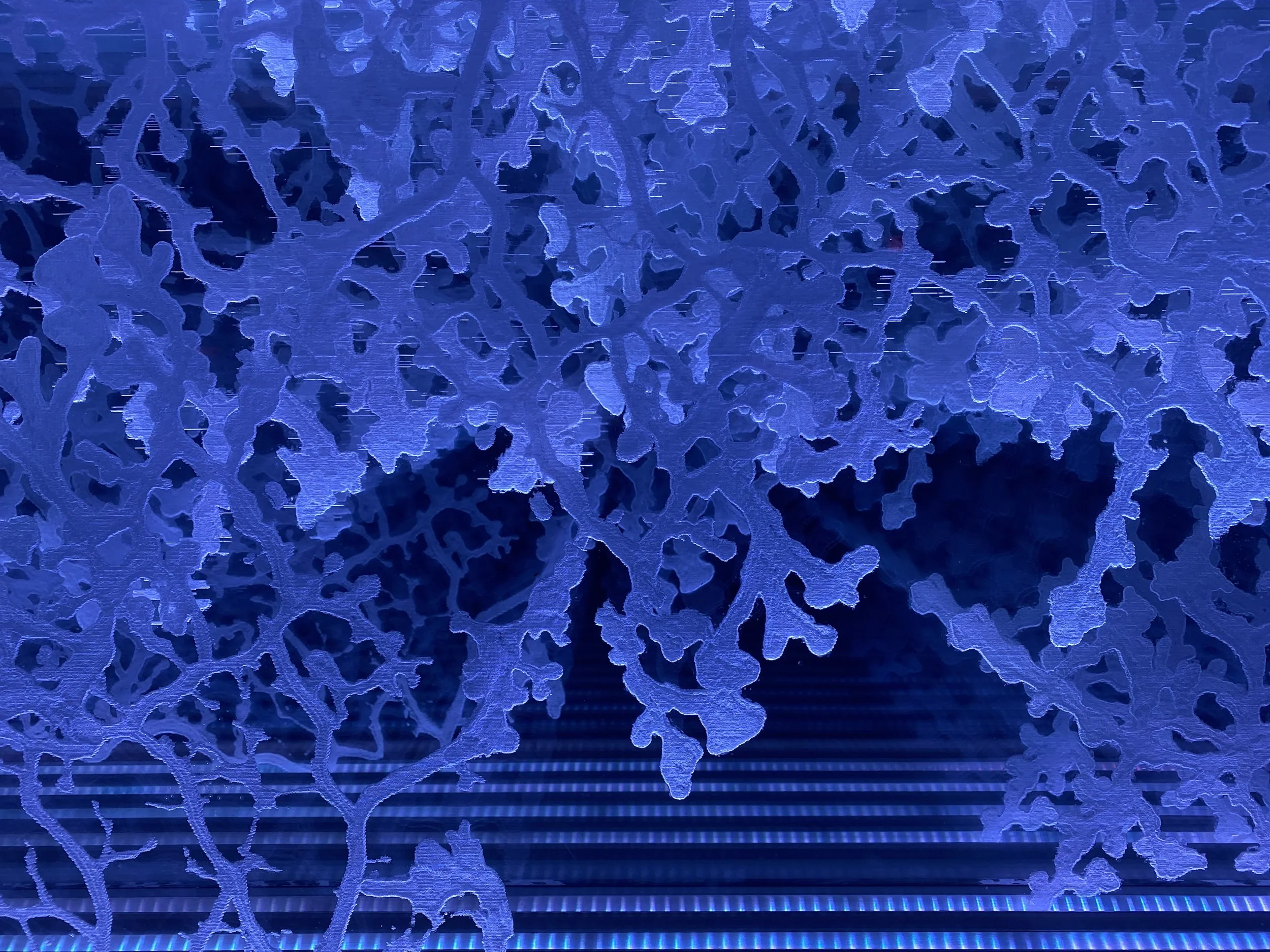 Work — Jaywalk Studio