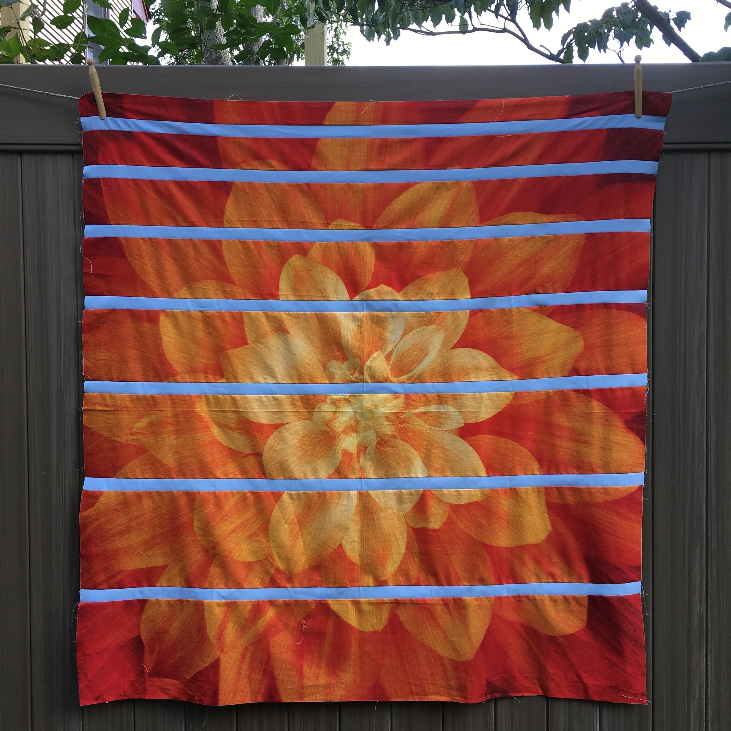 "Dream Big" Panel Color Study — Sleeping Dog Quilts