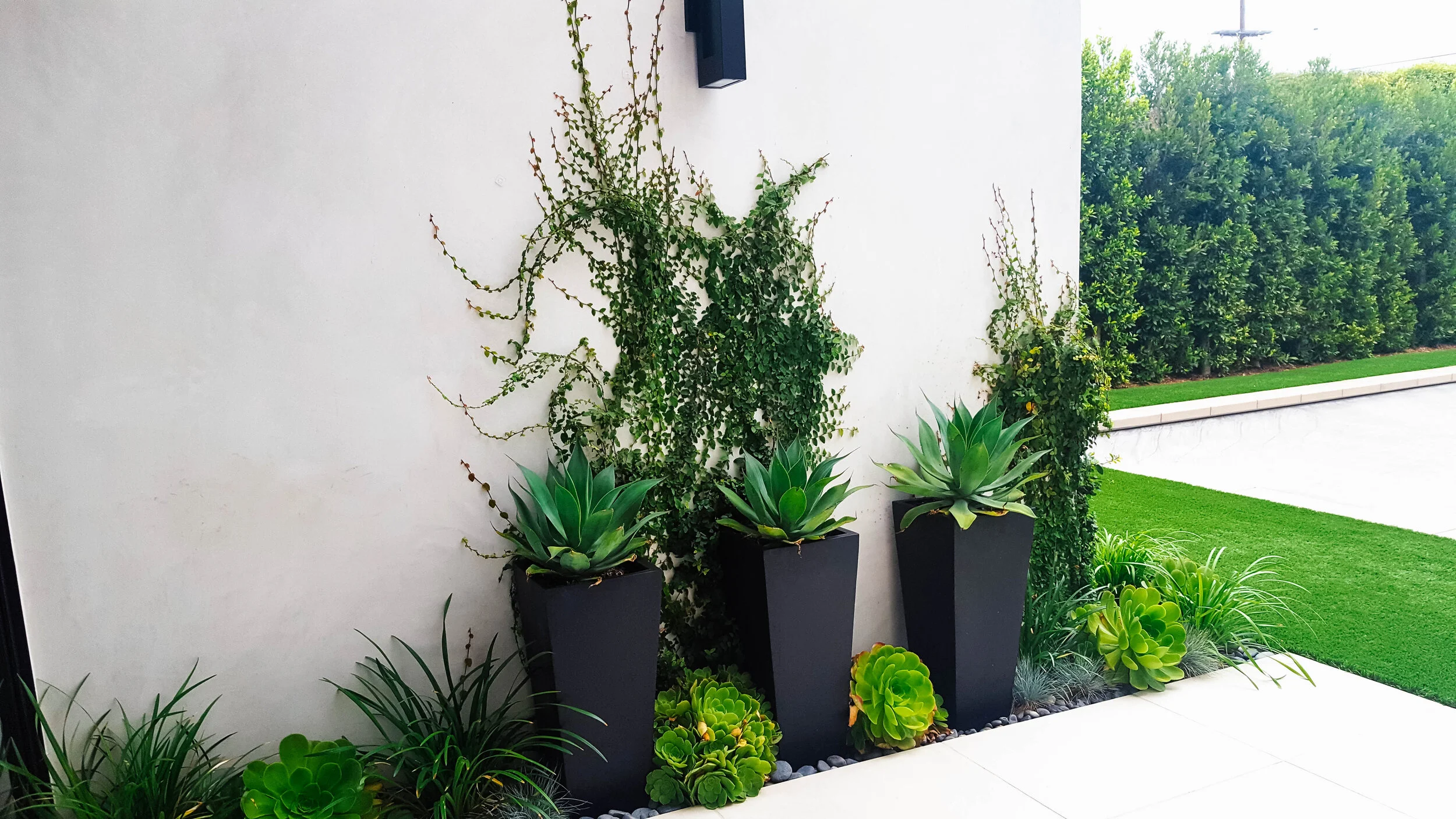 Clean Modern Green — Living Gardens Landscape Design