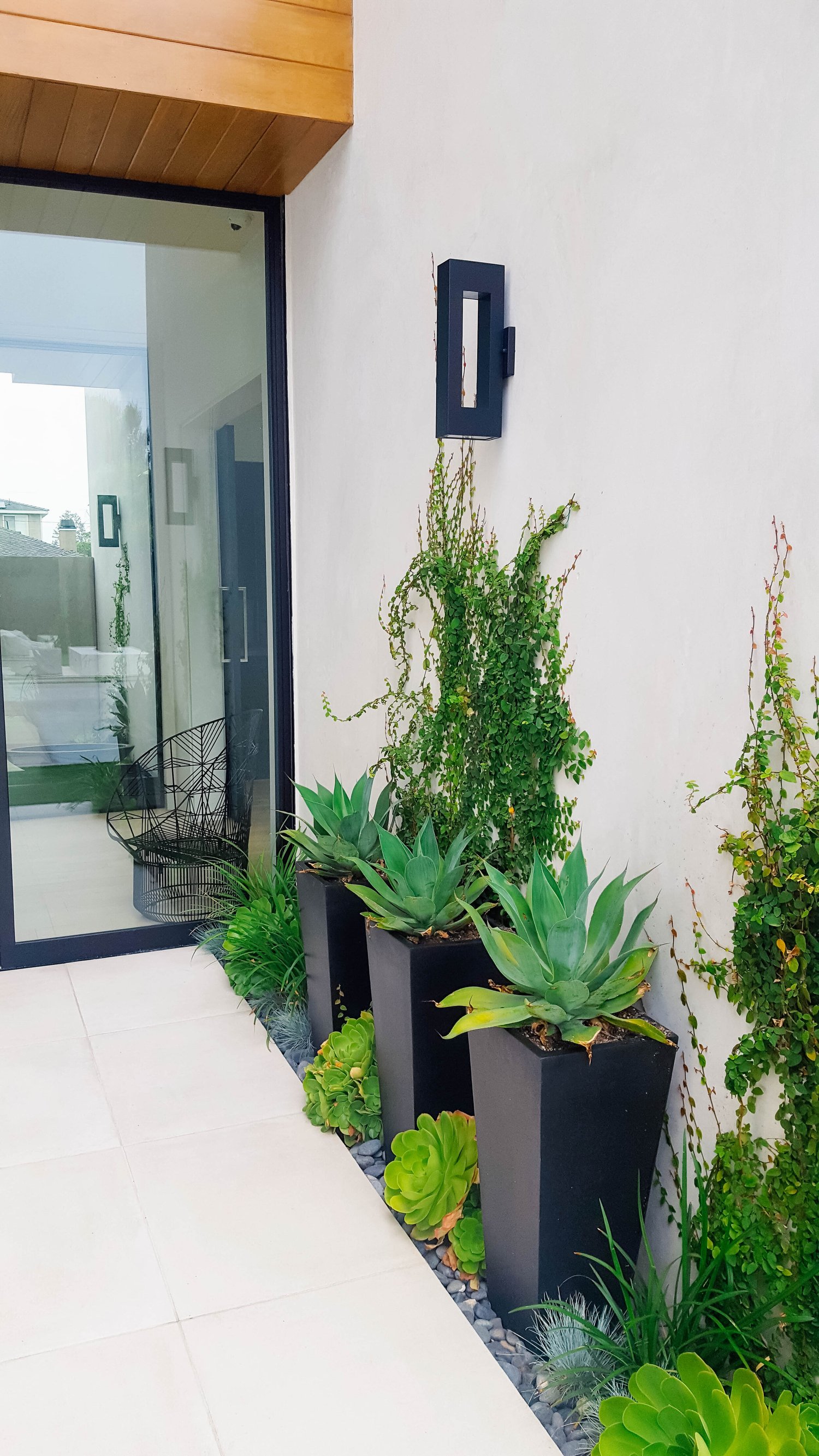 Clean Modern Green — Living Gardens Landscape Design