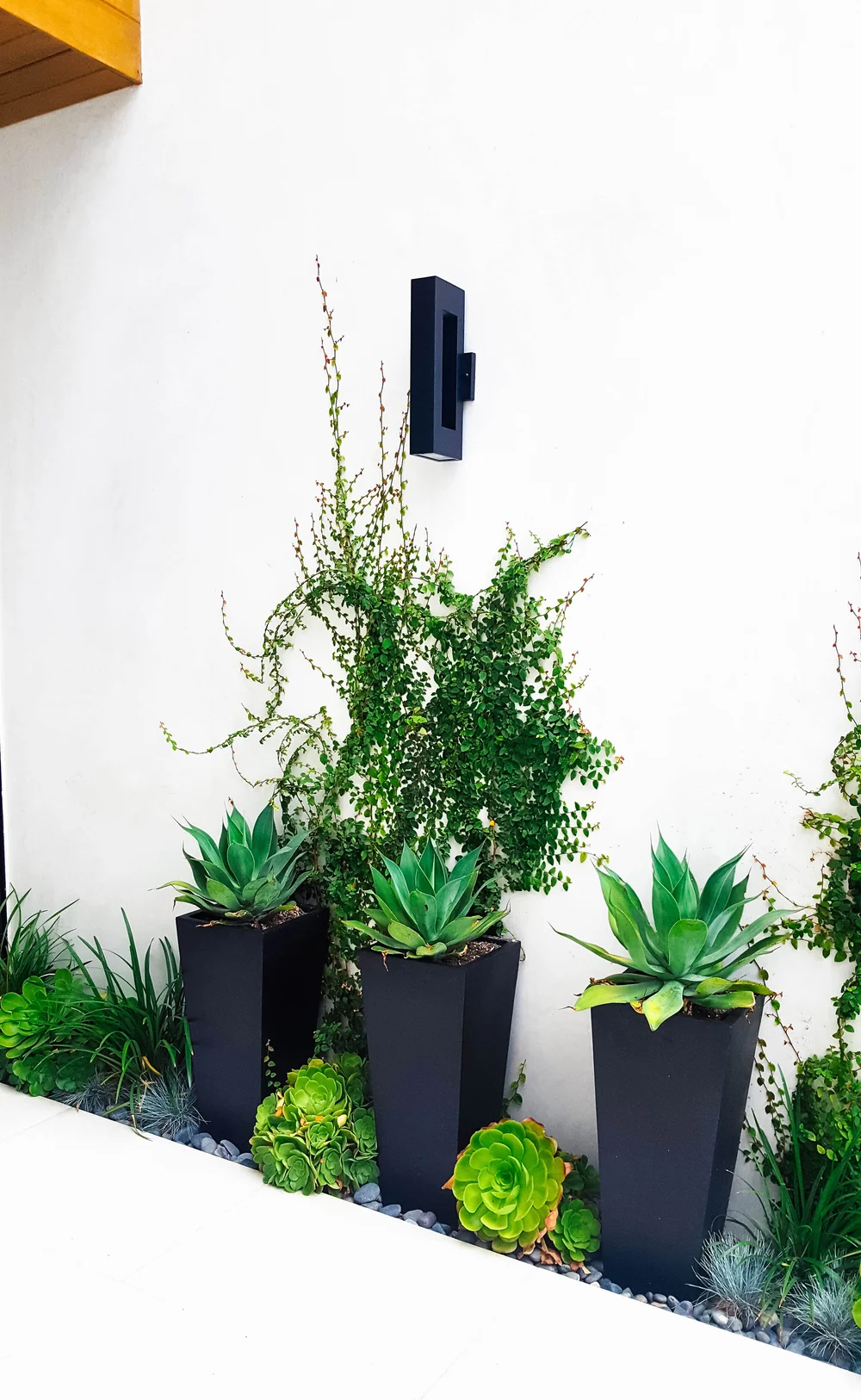 Clean Modern Green — Living Gardens Landscape Design