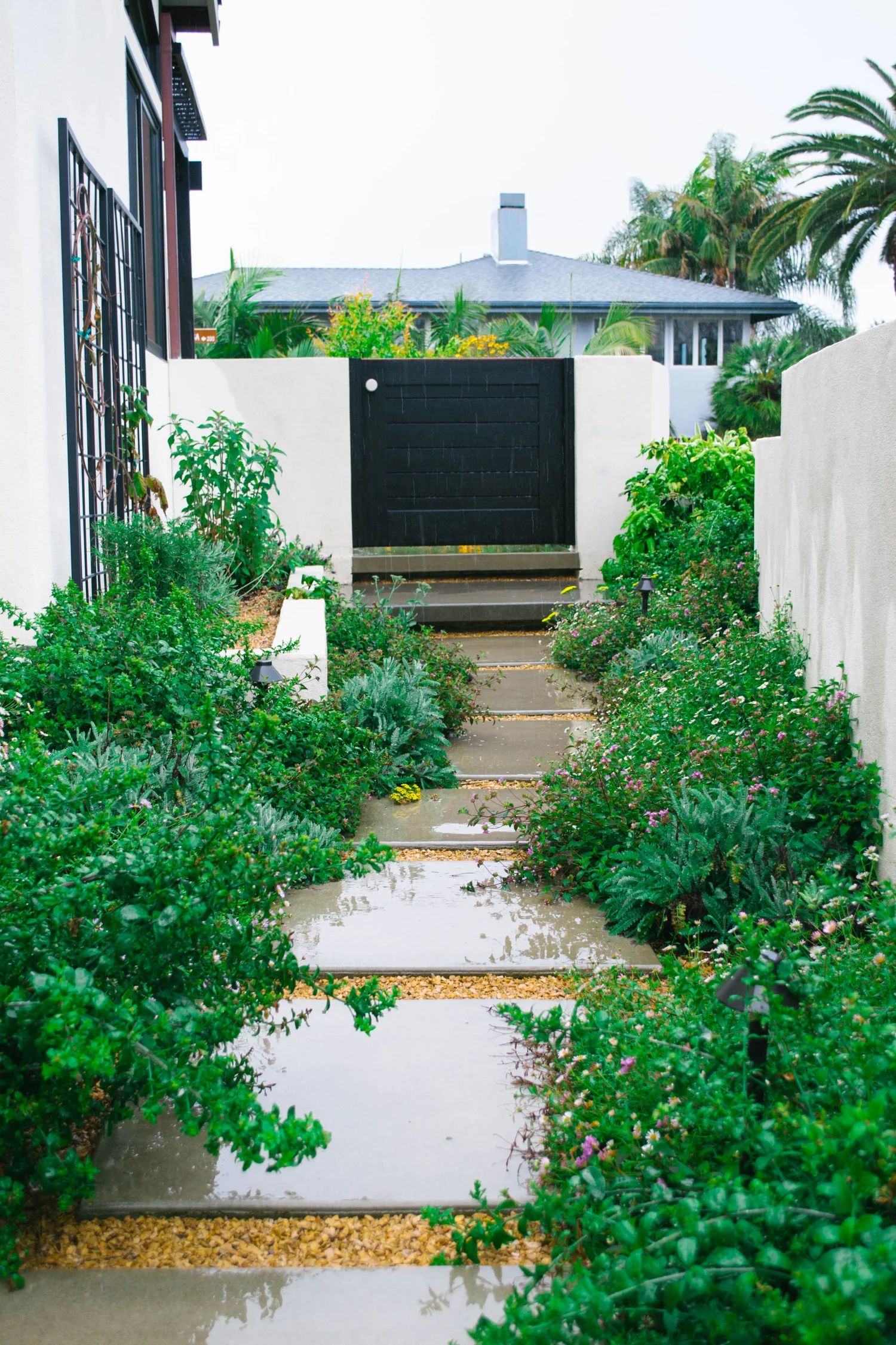 Modern Retro — Living Gardens Landscape Design