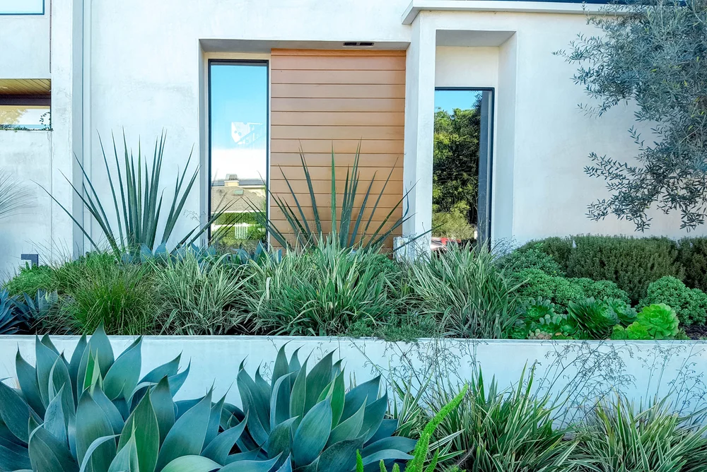 Clean Modern Green — Living Gardens Landscape Design