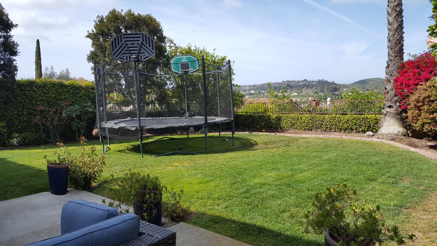 Azure — Living Gardens Landscape Design