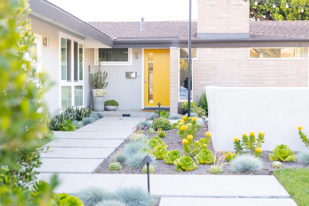 Mid Century Courtyard Garden — Living Gardens Landscape Design