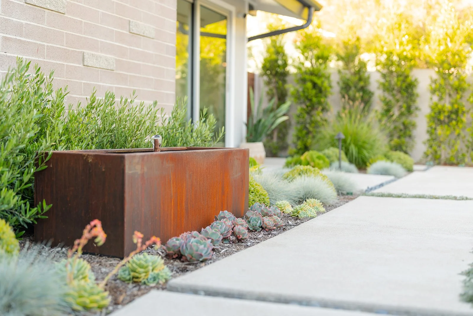Mid Century Courtyard Garden — Living Gardens Landscape Design