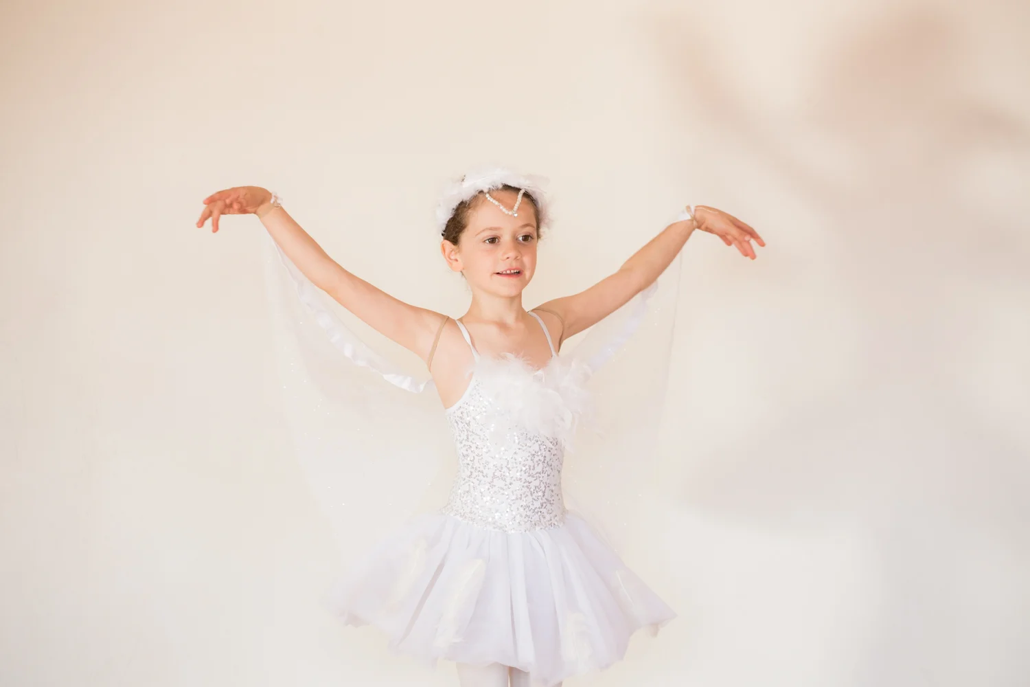 Ballet Dance Extensions