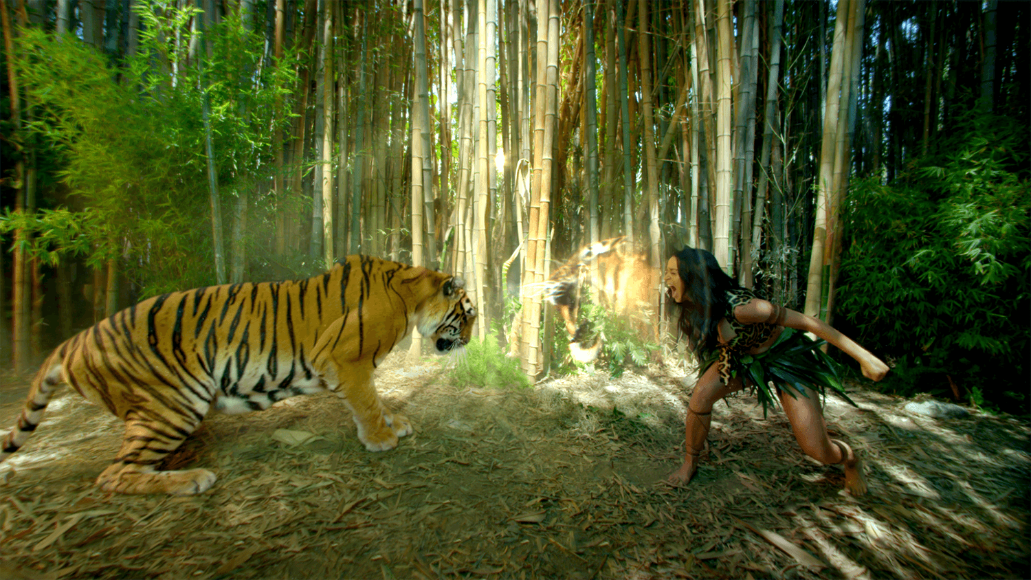 Katy Perry Roar Png