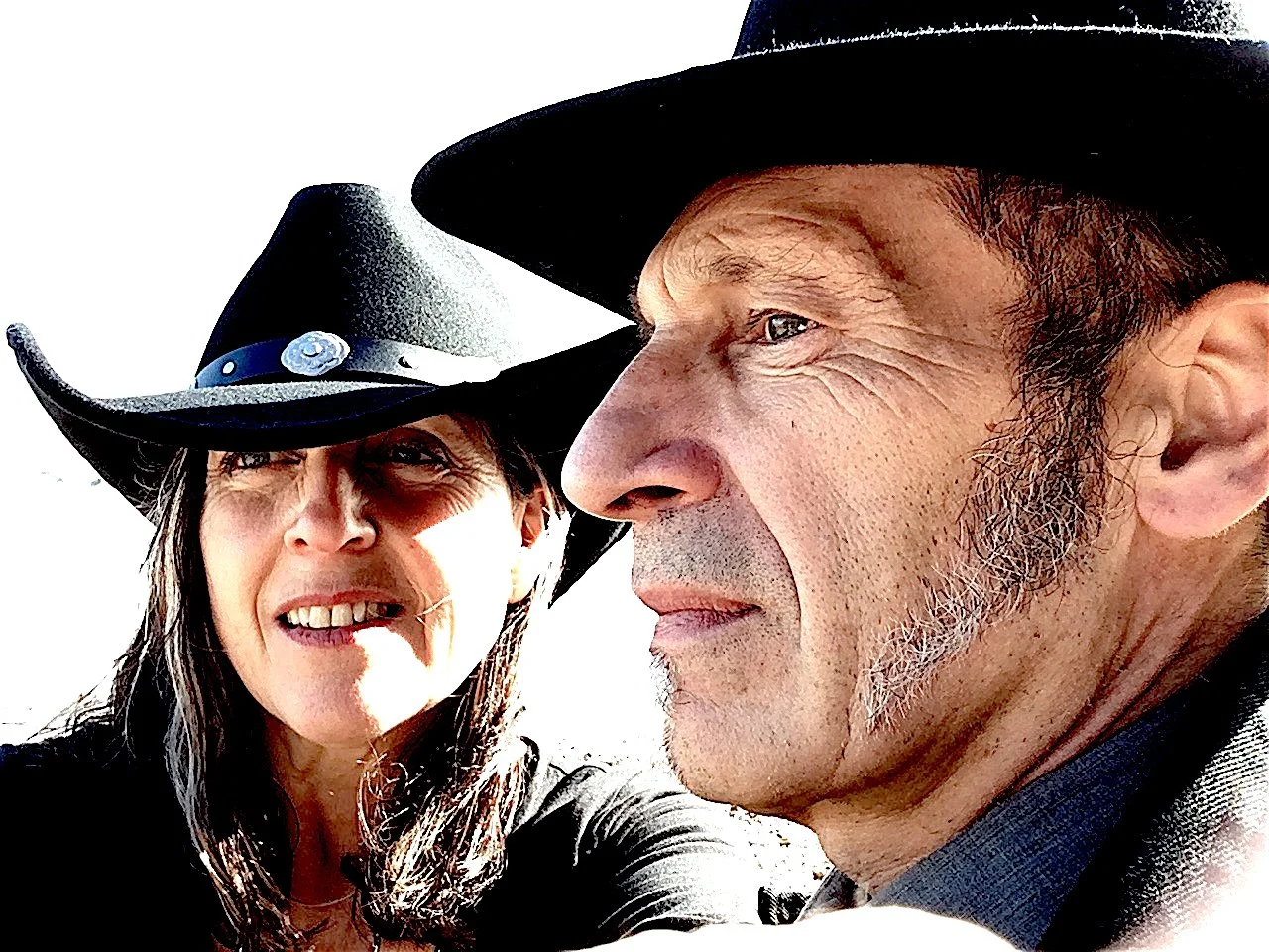 What's on diary — Graham Steel Music Company