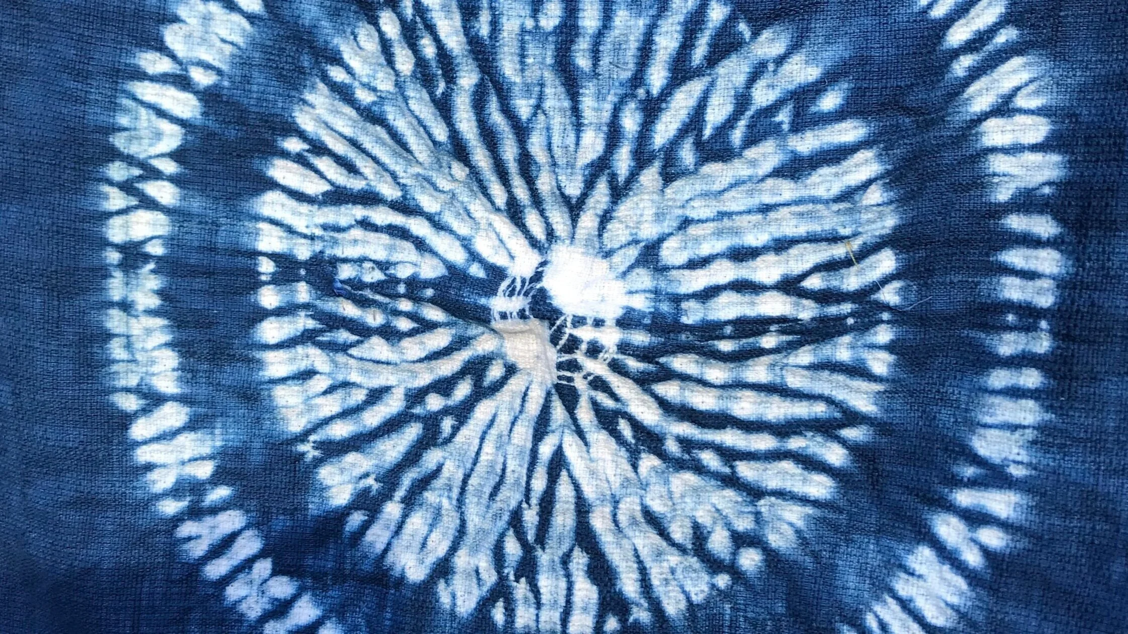Aya Fiber Studio | suzanne connors