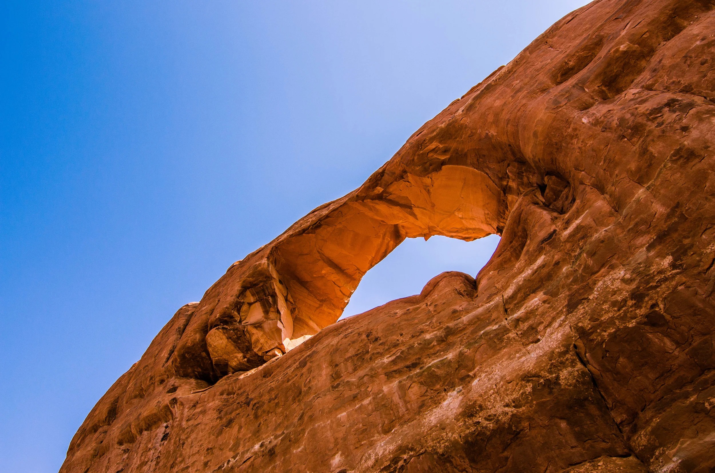 The Mighty Five — Cody Crigger