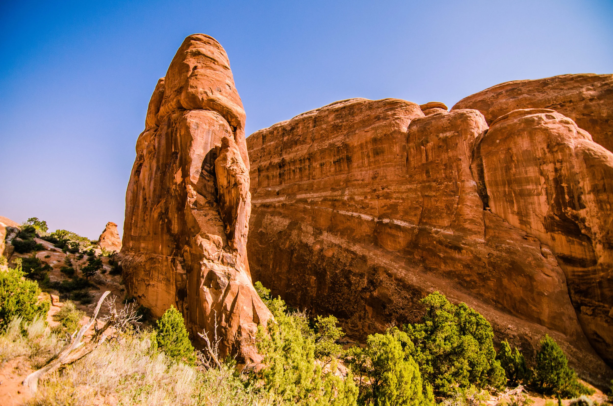 The Mighty Five — Cody Crigger