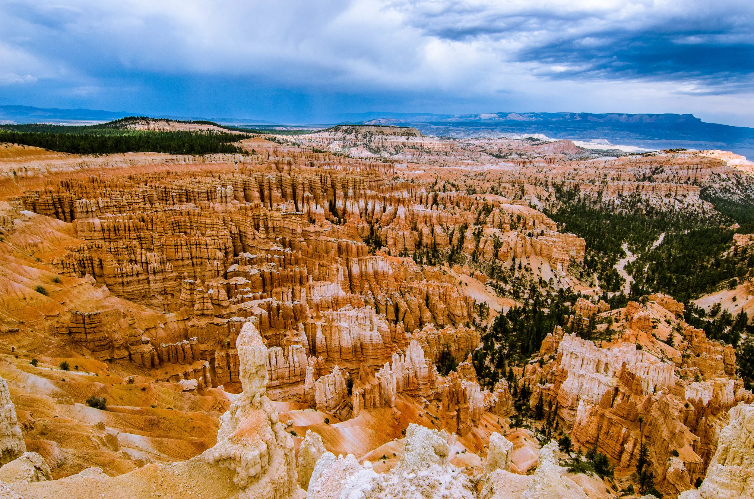 The Mighty Five — Cody Crigger